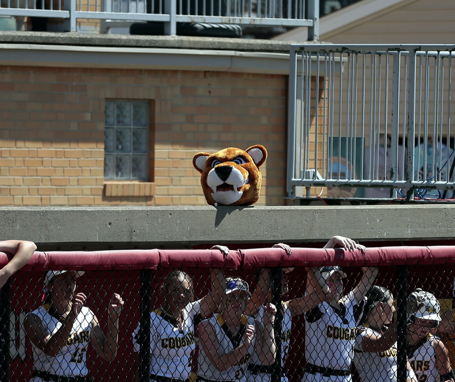 ‘Our team has so much heart’ — Kenton Ridge rallies to win second ...