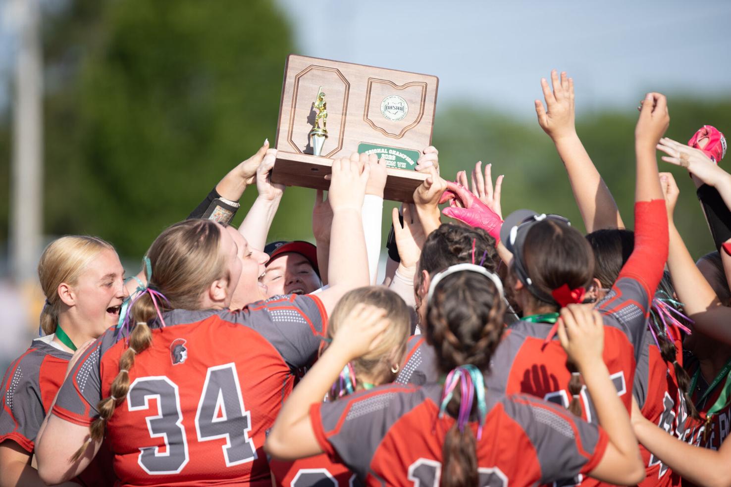 Softball: Reese Wells strikes out 15 as Southeastern earns first state ...