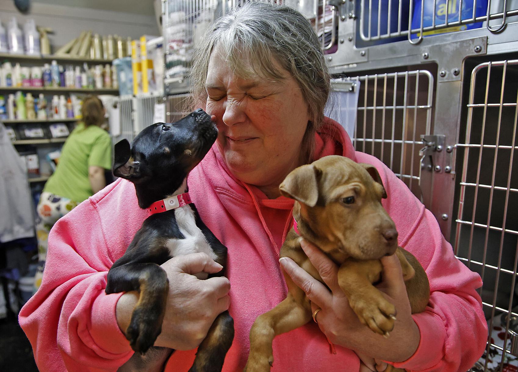 Clark County SPCA saves nearly 500 animals in 2023, sets 2024 goals ...