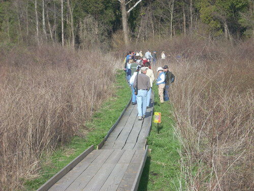 Exploring Cedar Bog in Urbana: A rare glimpse into Ohio’s prehistoric ...