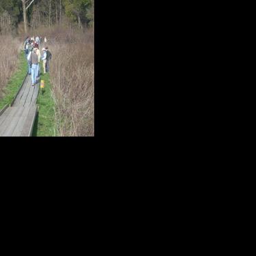 Exploring Cedar Bog in Urbana: A rare glimpse into Ohio’s prehistoric ...