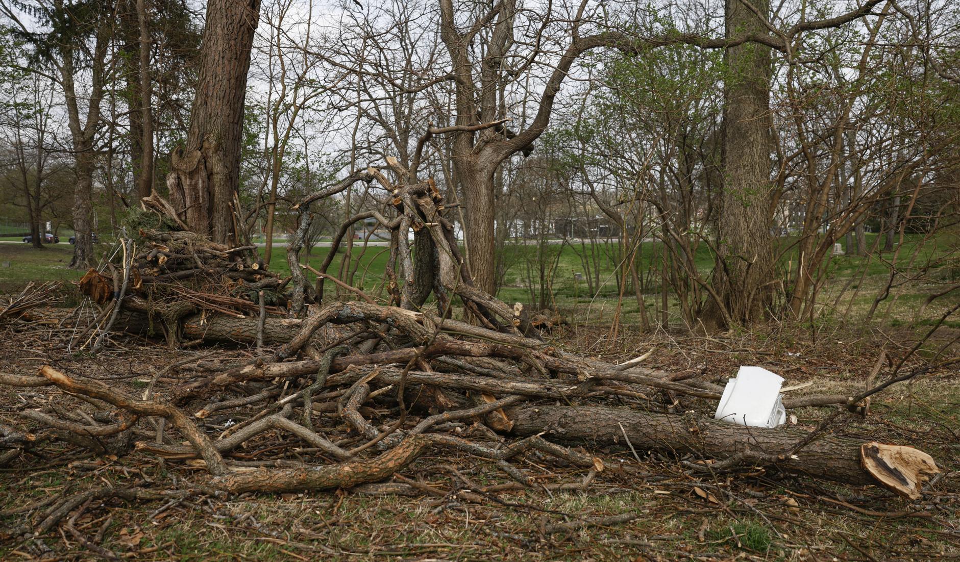 Trees and branches damaged following heavy winds | | springfieldnewssun.com