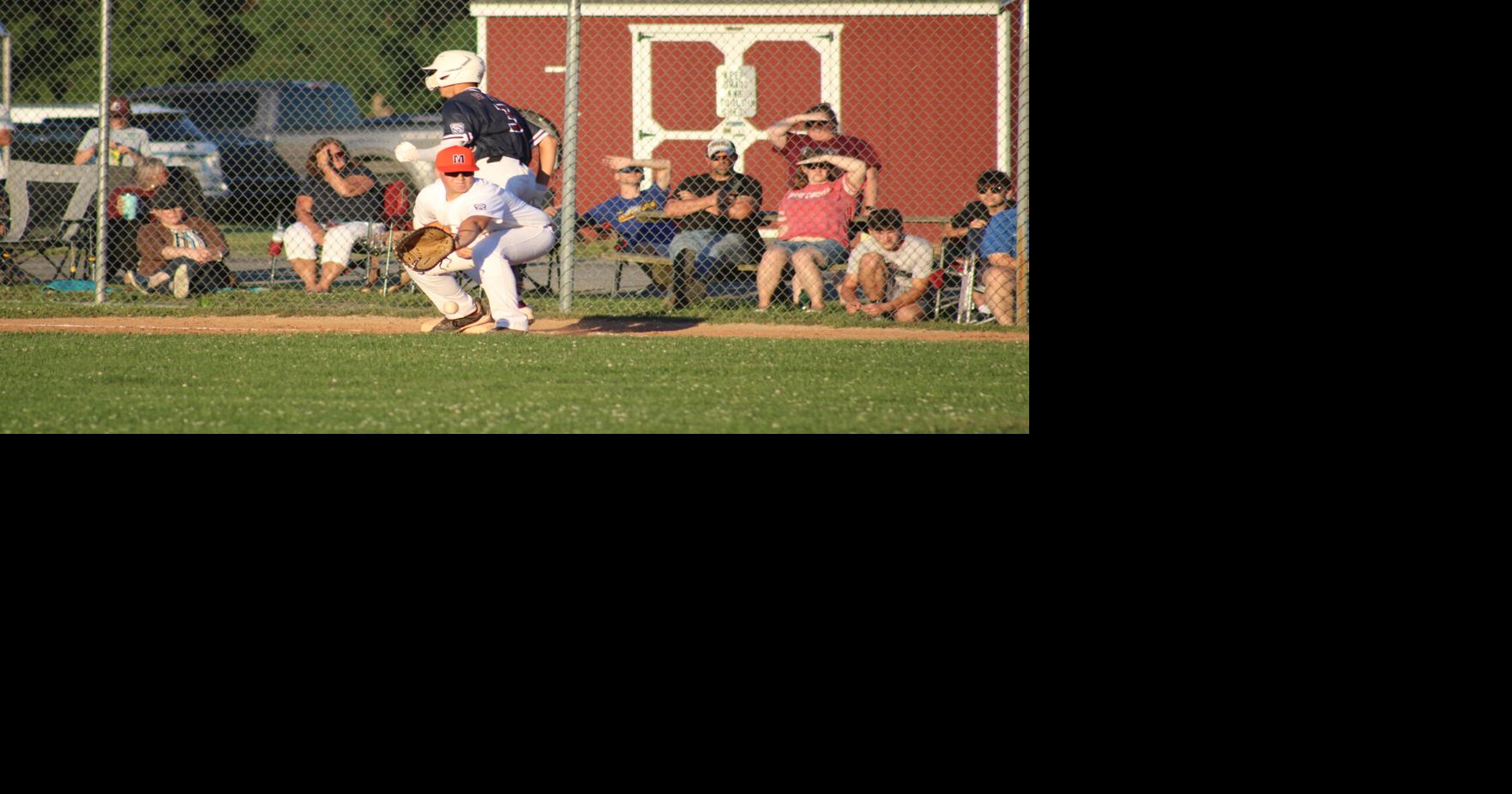 Area Roundup: Milton Junior Baseball falls to Shikellamy | Local ...