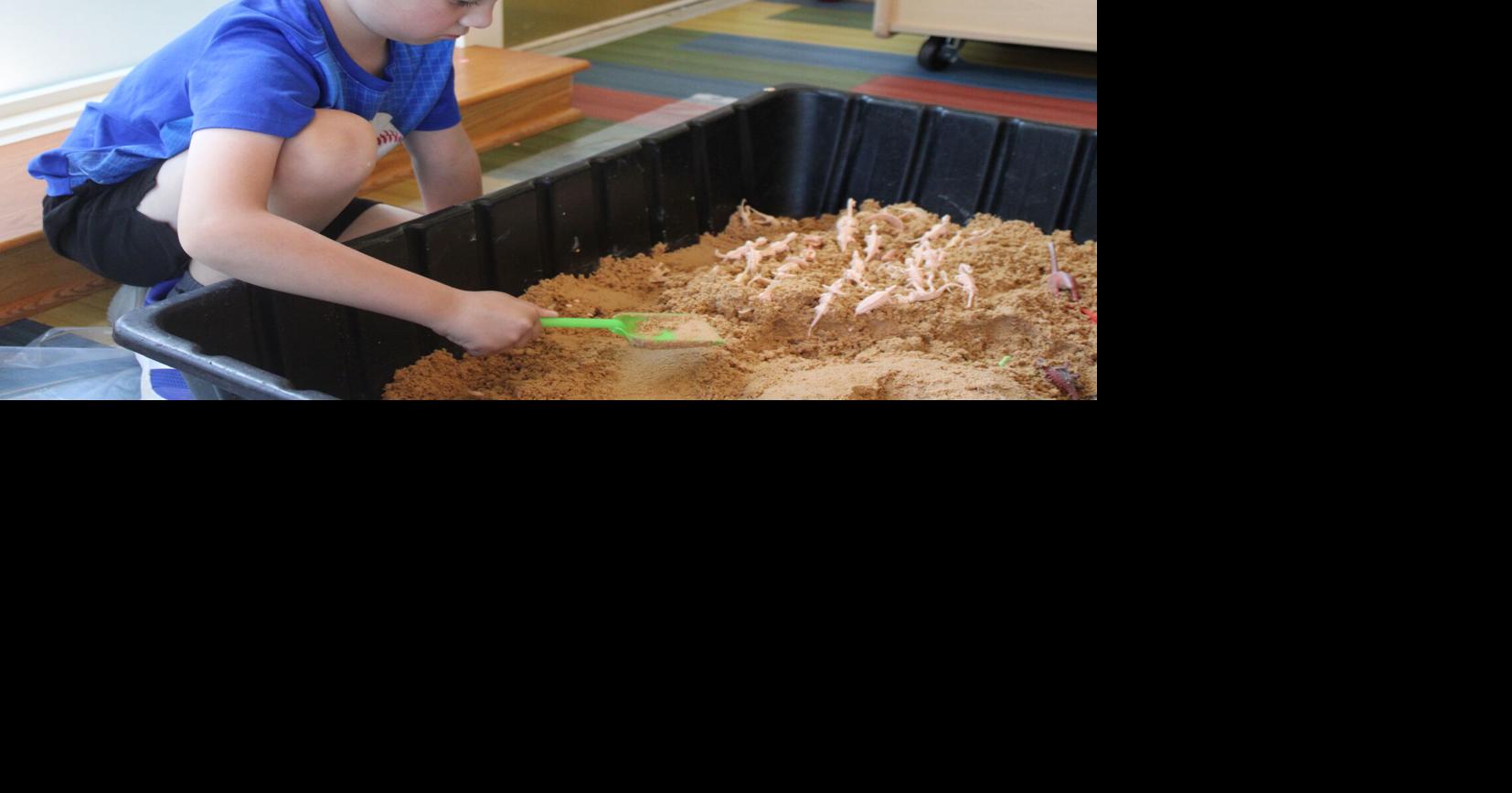 Digging in to summer fun | Local News | standard-journal.com