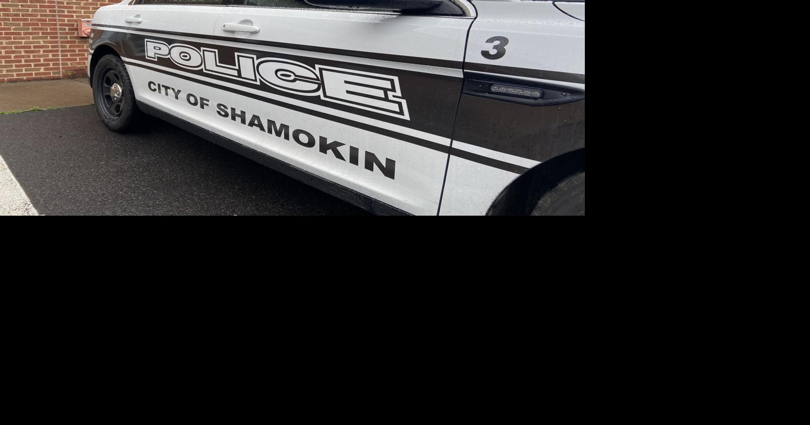 Police: Pursuit reached 100 mph | Police | standard-journal.com