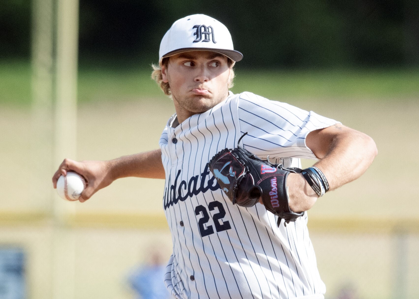 Mifflinburg baseball | Sports | standard-journal.com