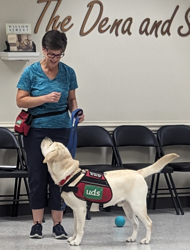 Service Dogs | | standard-journal.com