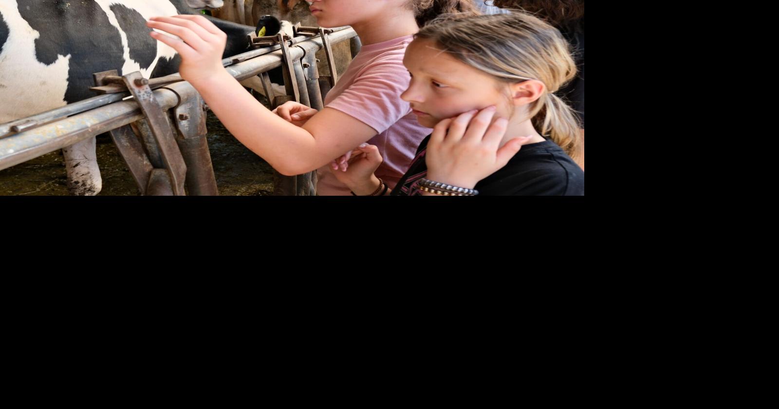 Immersing students in agriculture | Local News | standard-journal.com