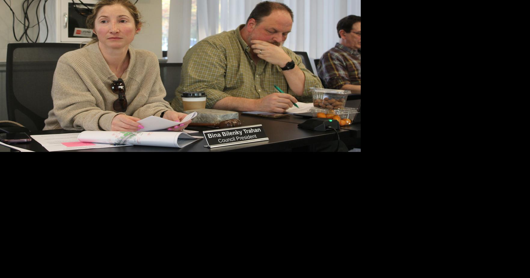 Green or black? Lewisburg residents debate tri-globe color | Local News ...