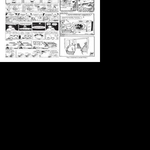 Page A19 | e-Edition | standard-journal.com