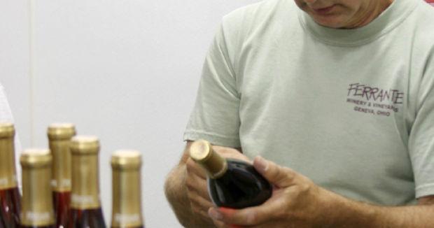 Nick Ferrante unveils fruit infused wines | Local News | starbeacon.com