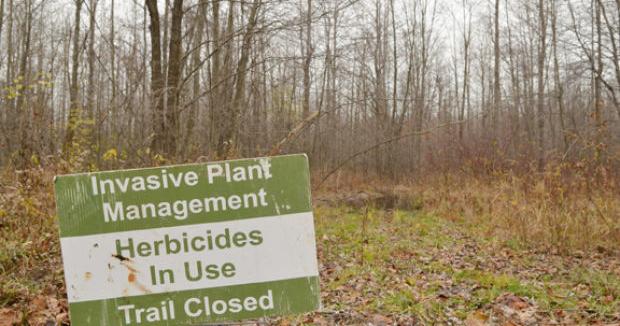 Museum moves to buy swamp in Geneva | Local News | starbeacon.com