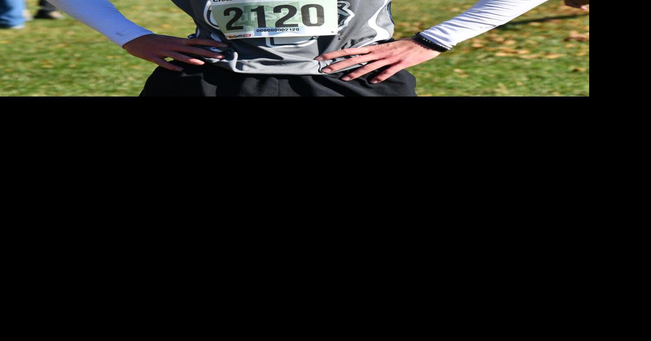 GV siblings David, Anna Steimle to both run in state cross country ...