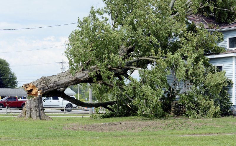 Power outages and downed trees keep emergency responders busy | Local ...