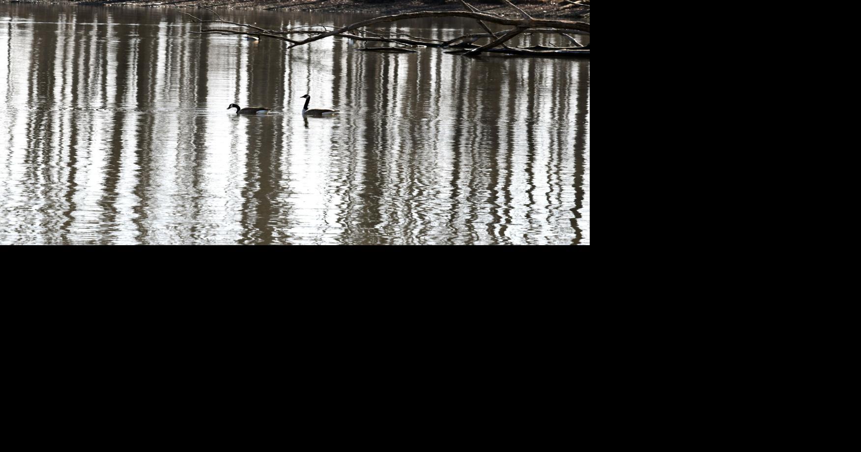 Pymatuning State Park set for spring, summer | News | starbeacon.com