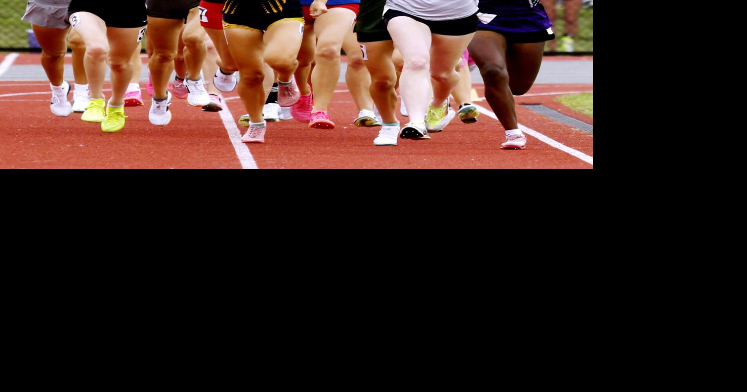 Conneaut's Cellini, Edgewood's Crooks wrap up track seasons at state ...