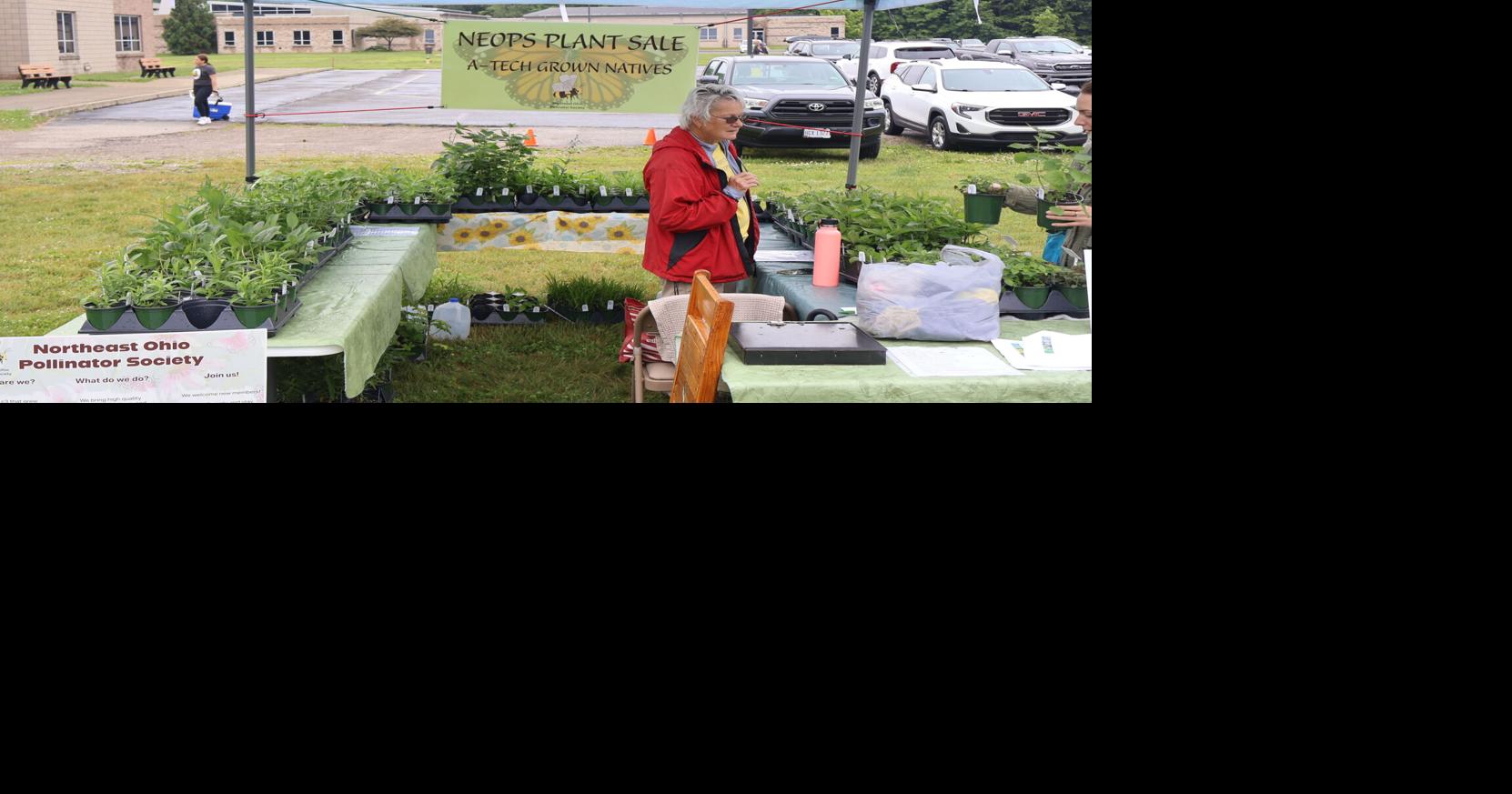 People buzz around the pollinator festival | News | starbeacon.com