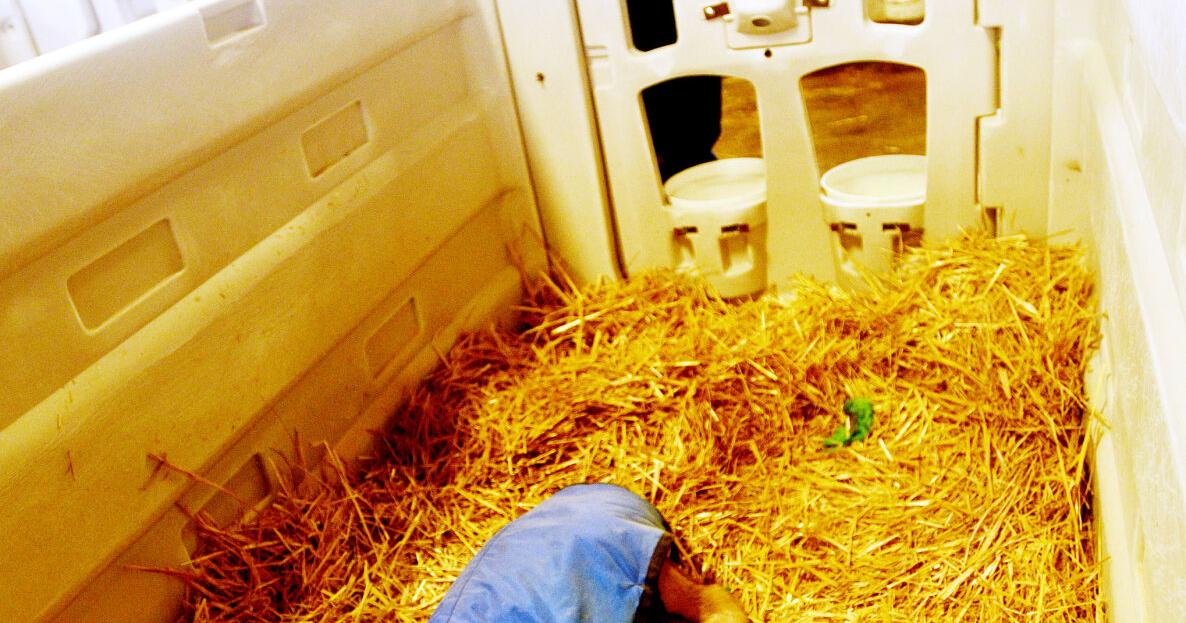 Cold-weather farming presents challenges | News | starbeacon.com