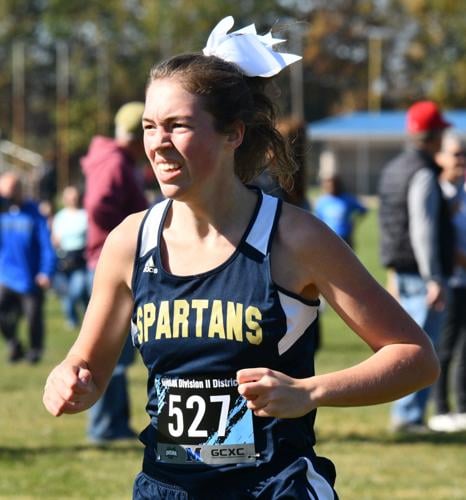 Cross country participants fare well at district meet | Sports ...