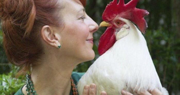 CAMILLE LICATE Founder of Kids for Positive Change | Local News ...