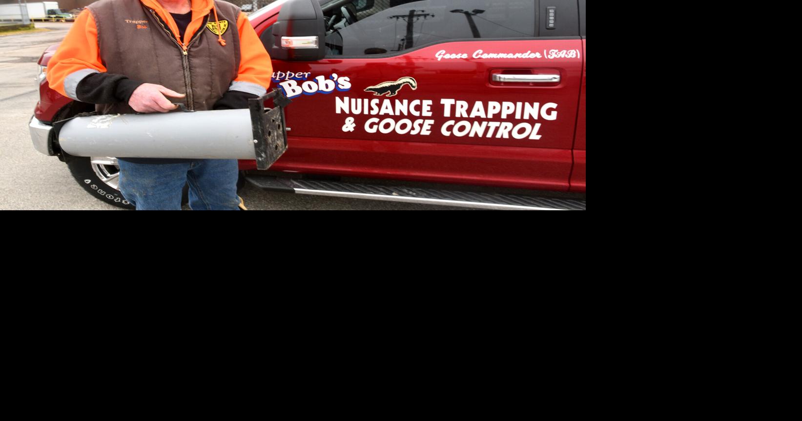 Trapper Bob: Skunks can raise a stink this time of year | News ...