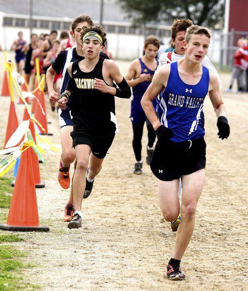 District cross country championships Saturday | Local Sports ...