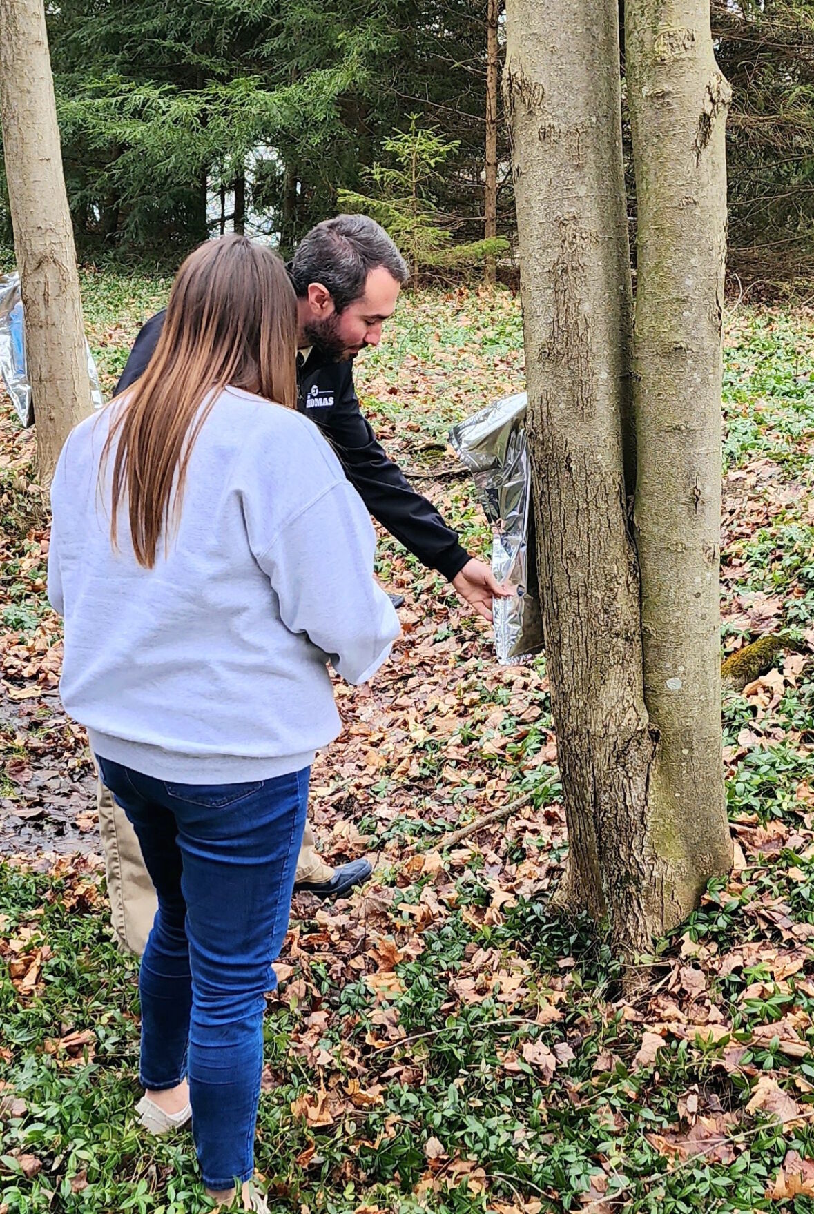 Auditor’s Office completes maple syrup CAUV inspections | Local News ...