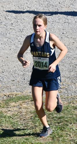 Six county cross country runners qualify for state | Sports ...