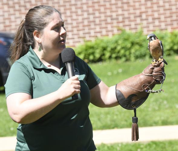 Large crowd learns while kicking off summer reading program at Andover ...