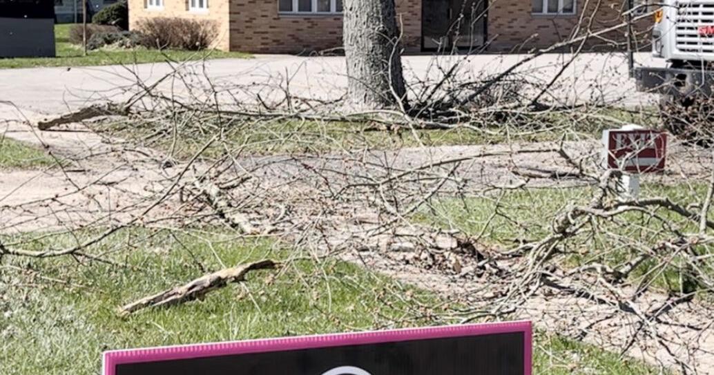 Don Burt's Tree Service offers year-round maintenance | News ...