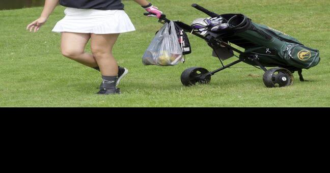 Kanicki leads Warriors to CVC Valley Division tournament title | Local ...