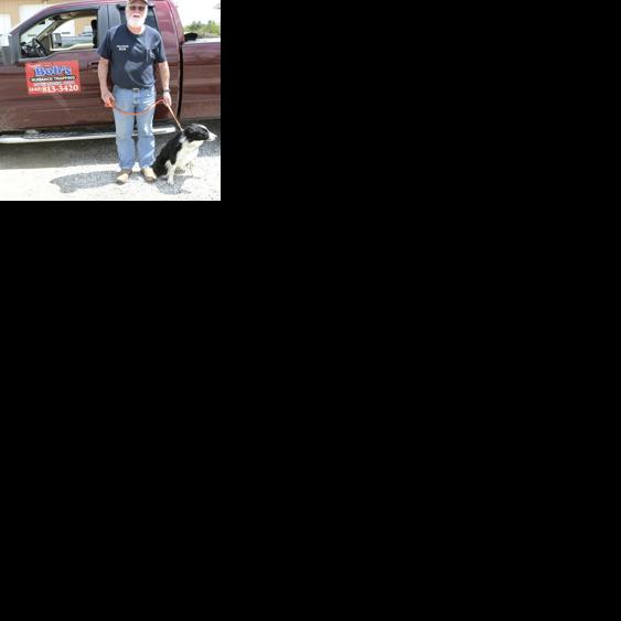 Trapper Bob takes aim at goose control | Local News | starbeacon.com