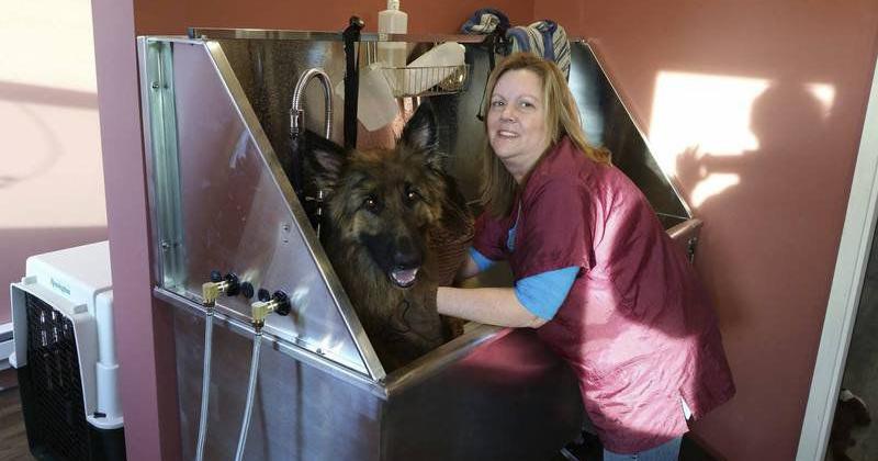 Dog trainer opens 'Perfect' Andover studio | Local News | starbeacon.com