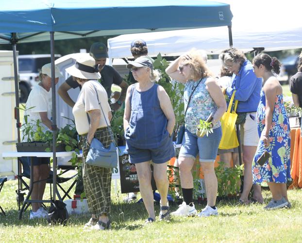 Pollinator festival draws crowd to outdoor learning center | News ...