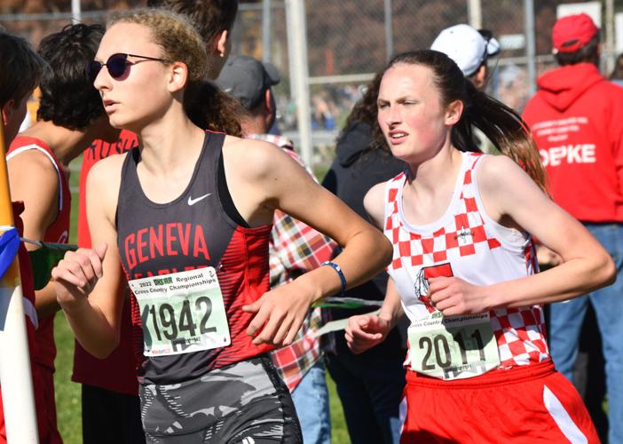 Six county cross country runners qualify for state | Sports ...