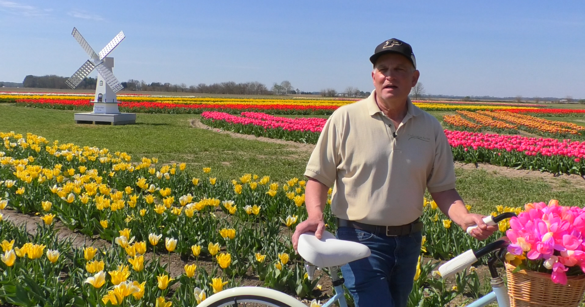 Exploration Acres's first tulip maze is braving the Lafayette spring ...