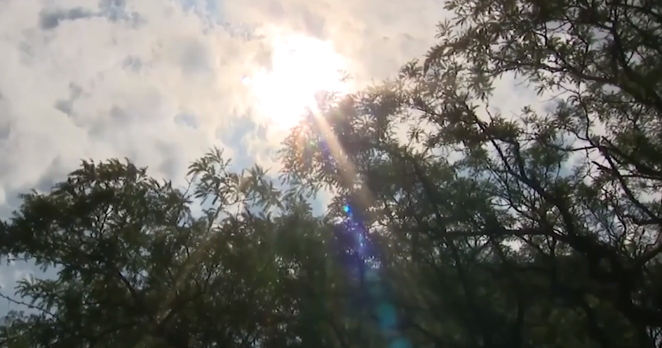 As heat waves continues the National Weather Service explains why the ...