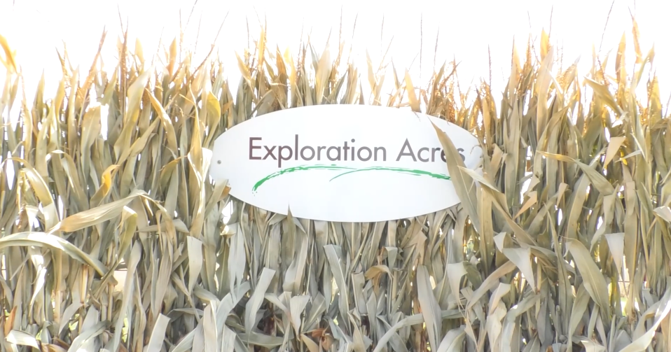 Exploration Acres opens bicentennial themed corn maze, pumpkin patch ...