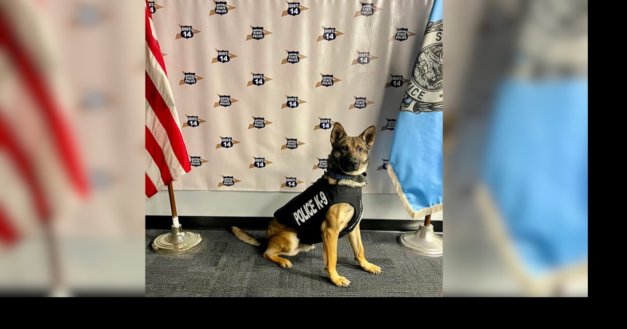 State police K-9 Draco receives stab and bullet protective body armor ...