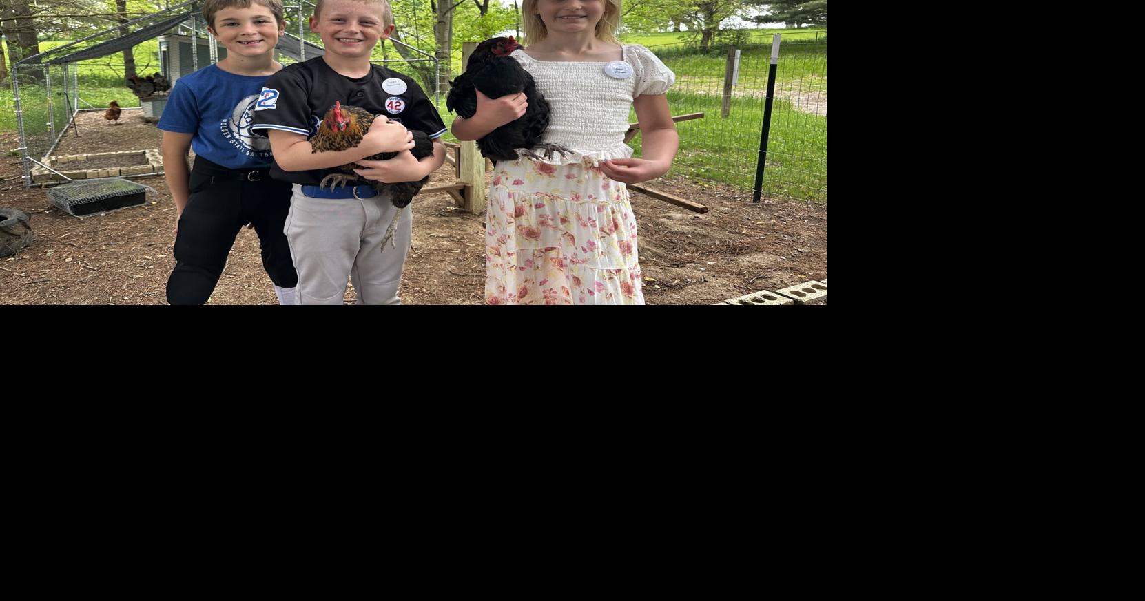 Cole Elementary students hatch life skills through chicken care program ...