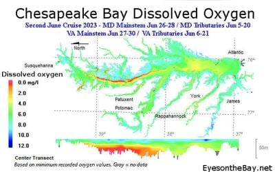 Dissolved oxygen conditions in the Bay among best ever recorded ...