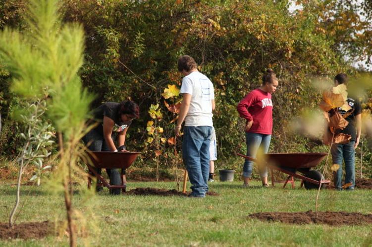 High-schoolers plant 300 trees | Local | stardem.com