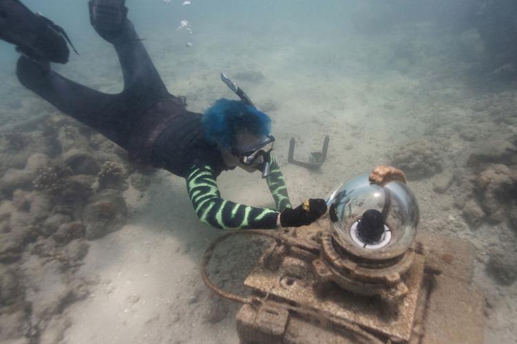 Coral reefs provide stunning images of a world under assault | World ...