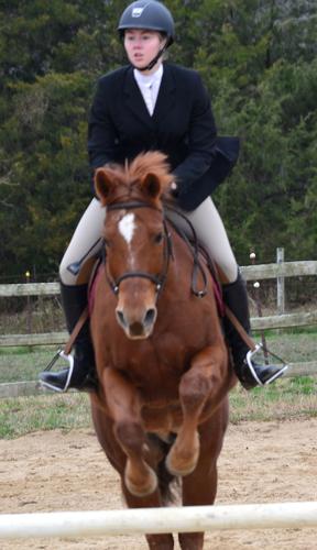 WC equestrian team hosts area competition | Local | stardem.com