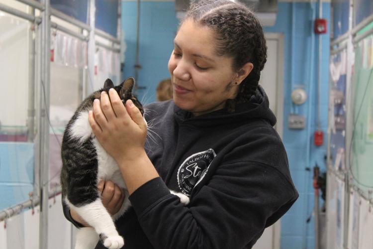 Talbot Humane shares promising data, plans for a new shelter | Local | stardem.com