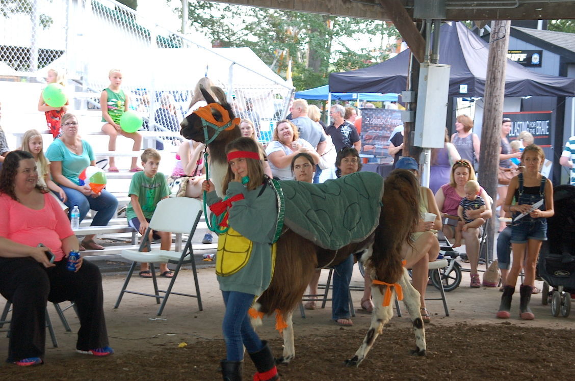 Queen Anne's County Fair — Pretty Animal Contest | Featured | stardem.com