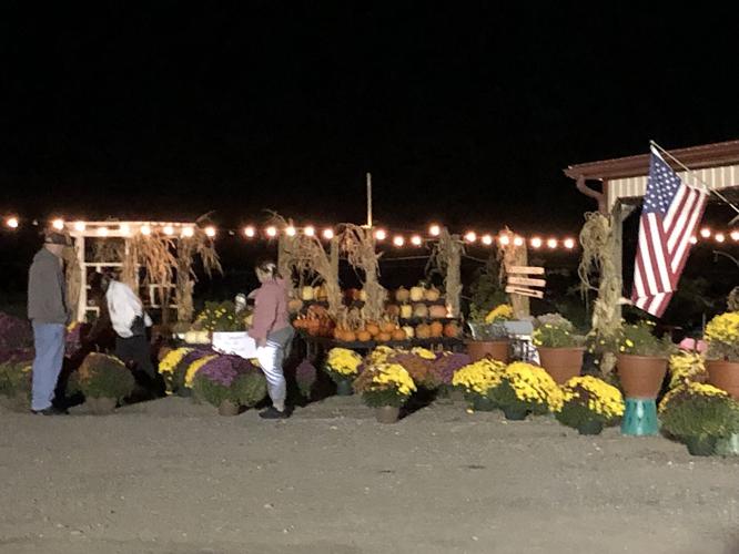 Haunted Hayride | Life | stardem.com