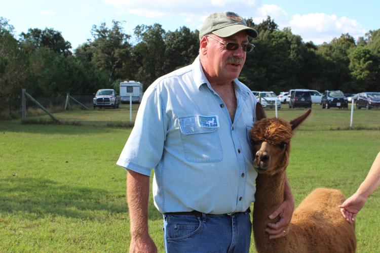 Outstanding Dreams Farm hosts 10th annual Alpaca Festival | Local ...