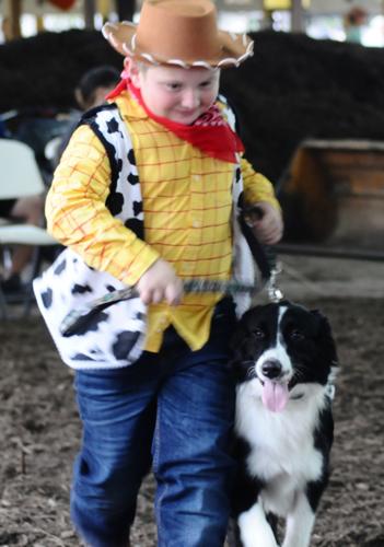 Children get creative in Pretty Animal Contest | Local | stardem.com