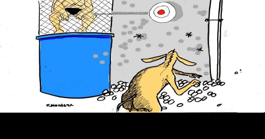 Dunk | Cartoons | stardem.com